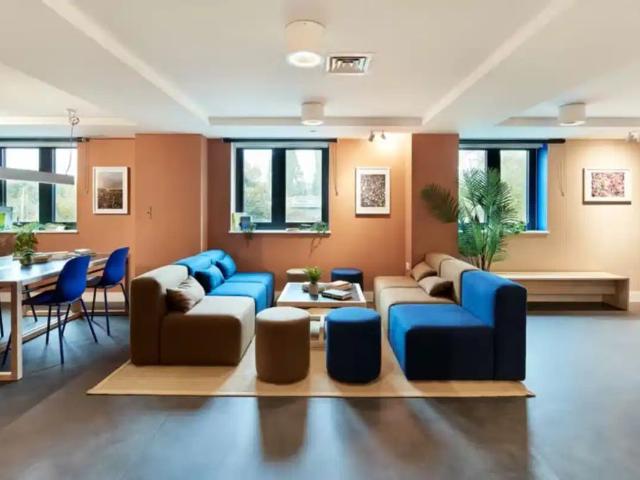 Standard Plus Studio