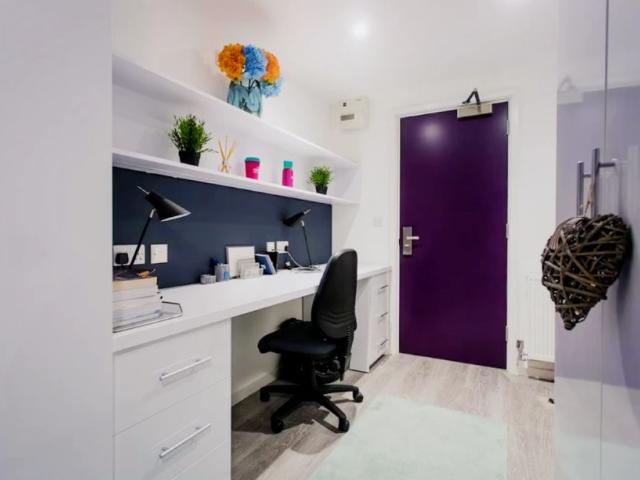 Standard Plus Studio