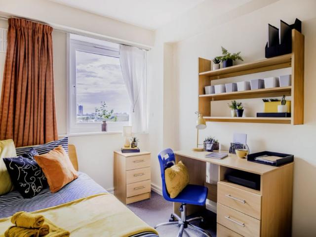 Standard single room