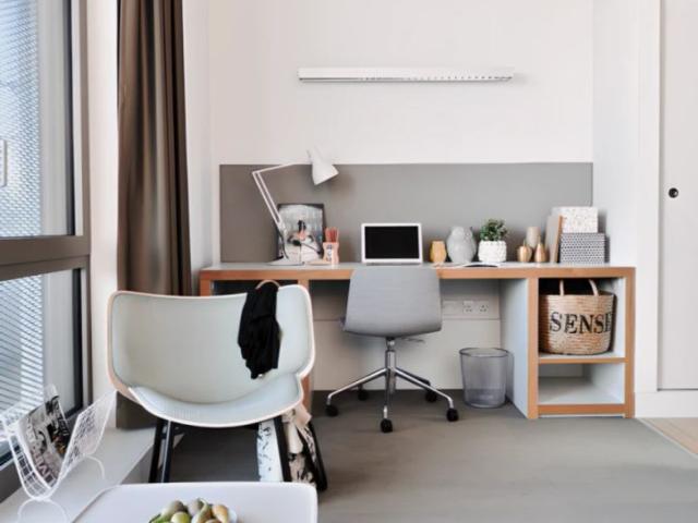 Standard Studio