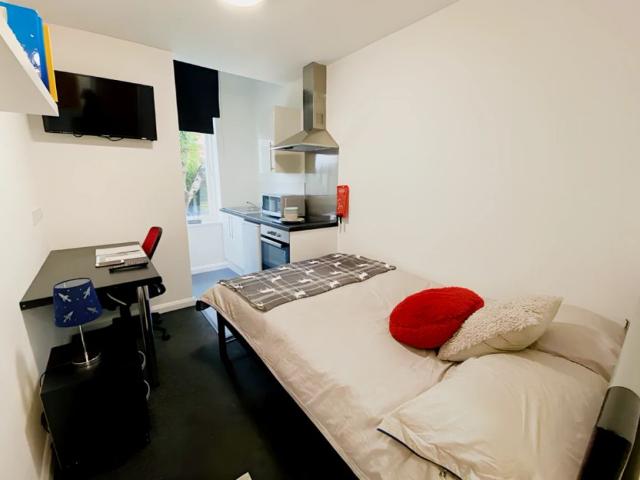 Standard Studio