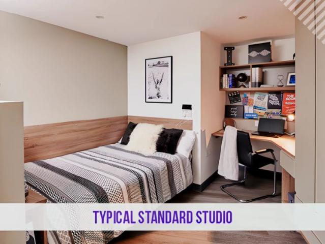 Standard Studio