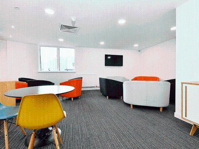 Standard Studio