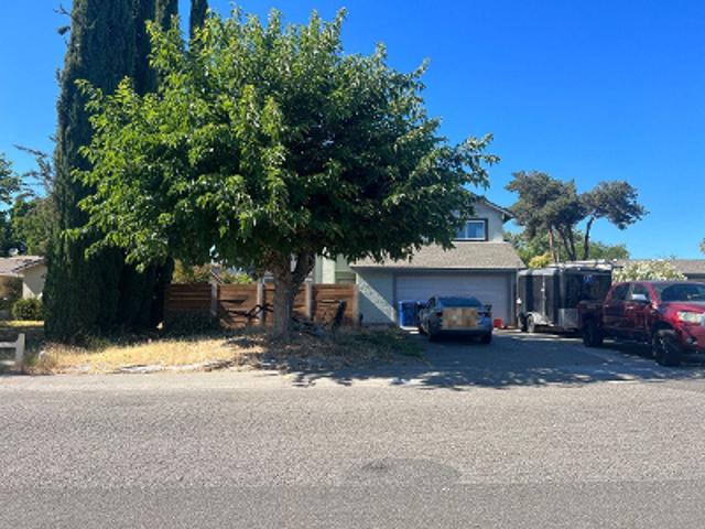 Stanford Oak Dr