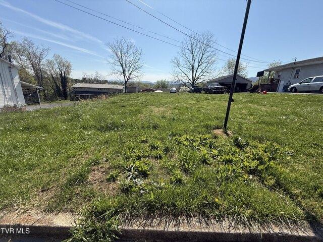Stanley Ave, Johnson City, Plot For Sale