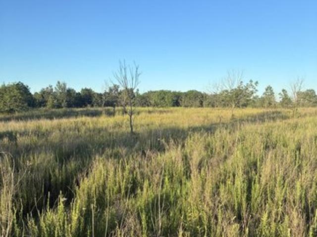 Stanley Rd, Elberfeld, IN 47613