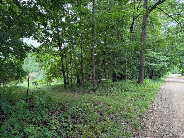 Stanton Lake Rd, Arcadia, MI 48412