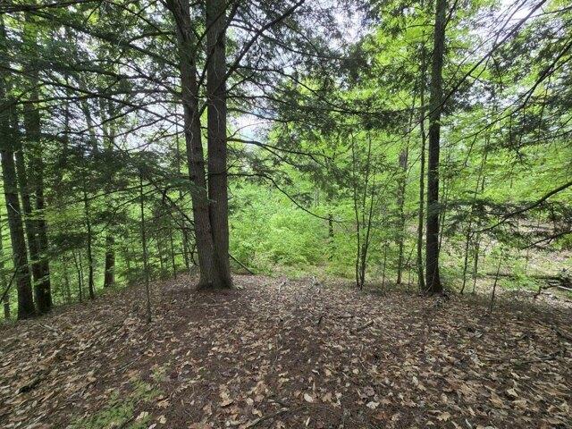 Staples Pond Rd Lot C, Temple, Plot For Sale