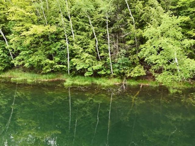 Star Trl Lot 1, Gleason, WI 54435