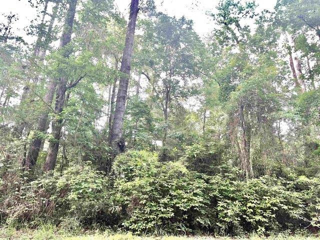 Starboard Dr Lot 403, Hemphill, TX 75948