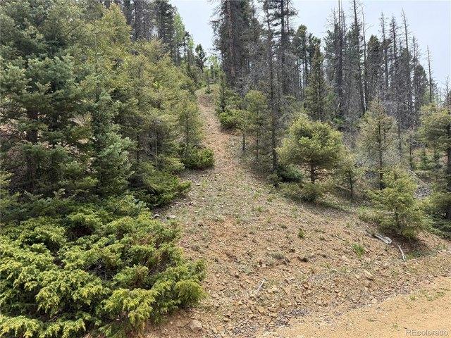 Starkweather Rd Lot 6795, Fort Garland, CO 81133