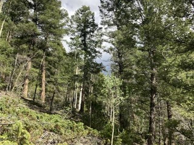 Starkweather Rd Lot 6858, San Luis, CO 81152