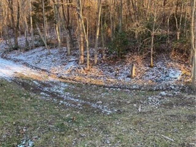 Starlite Dr, Charleston, Plot For Sale