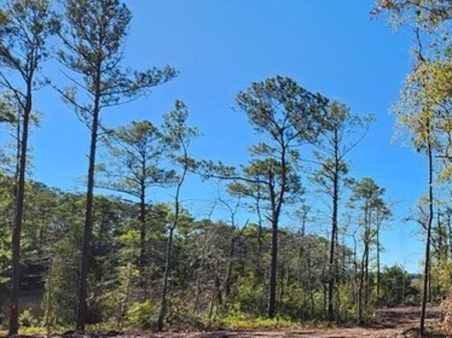 Starling Break Rd Lot 215, Southport, NC 28461