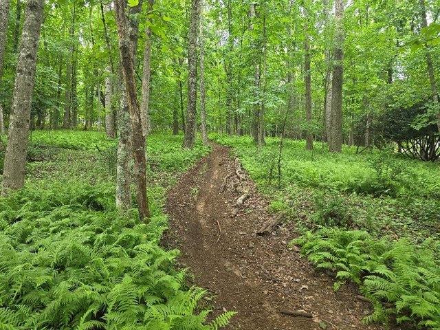 Starmount Ln Lot 0, Galax, VA 24333