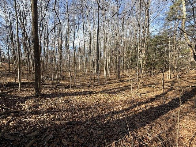 Starter Ln, Salem, VA 24153