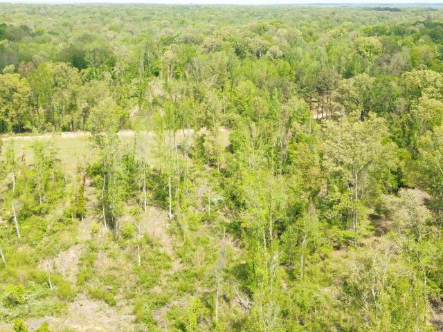 Stevens Rd, Bentonia, MS 39040