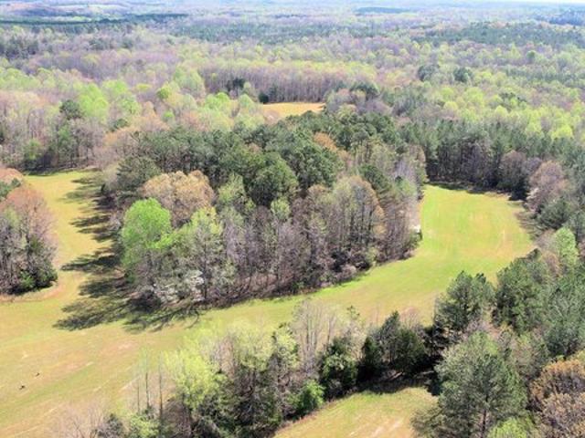 Stewart Cementery Ln, Enville, TN 38332