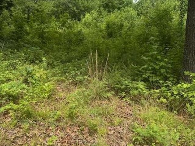 Stewart Rd, Ringgold, GA 30736
