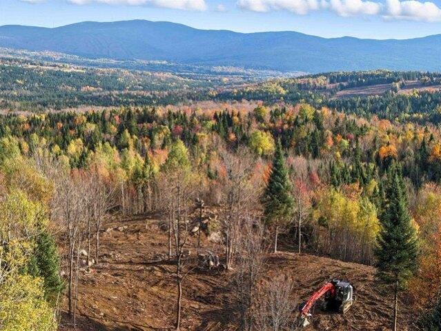 Stewartstown NH 03576 104689990