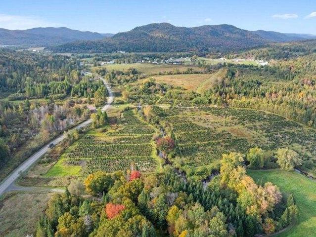 Stewartstown NH 03576 103037925