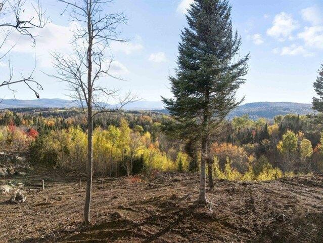Stewartstown NH 03576 103221008