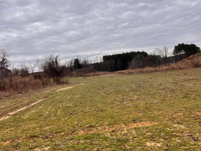 Steward Road, Senatobia, MS 38668