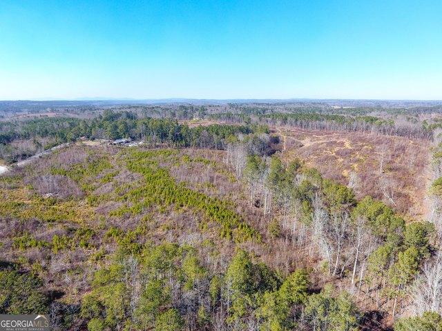 Steadman Rd, Tallapoosa, GA 30176