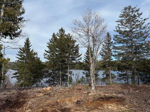 Steam Mill Rd Lot Bh, Robbinston, Plot For Sale