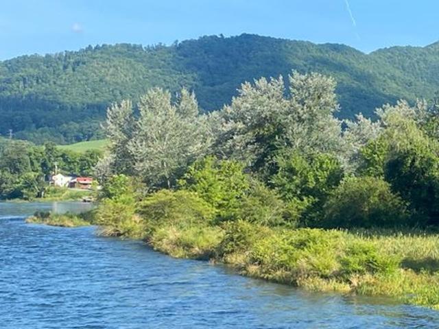 Steel Bridge Rd, Elizabethton, TN 37643