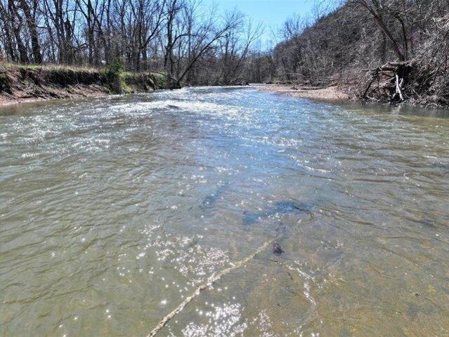 Steelville MO 65565 103501496