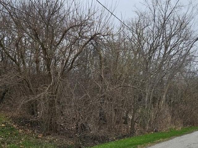 89 E 227th Pl, Steger, IL 60475