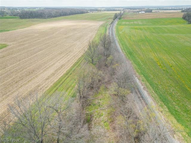Steiner Road
