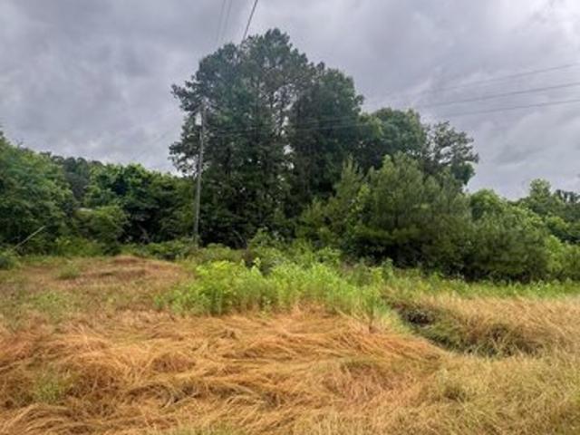Stella Lockard Rd, Cordova, AL 35550