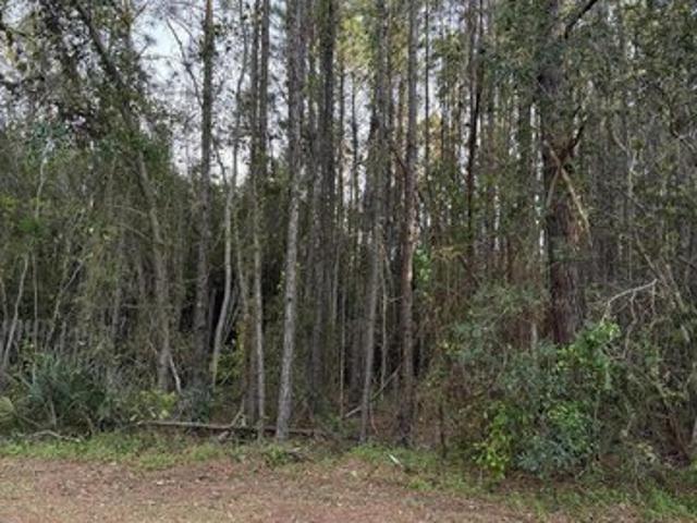 Stennis St Lot 21, Pass Christian, MS 39571