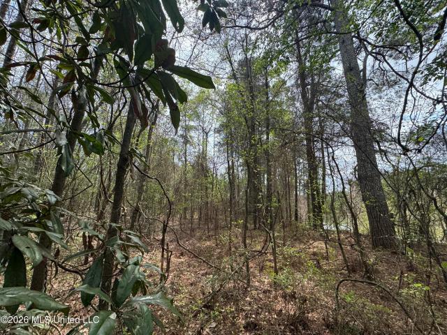 Stephens Road, Newton, MS 39345