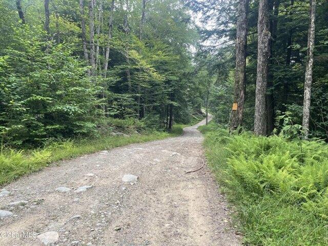 Stephentown NY 12168 105290362