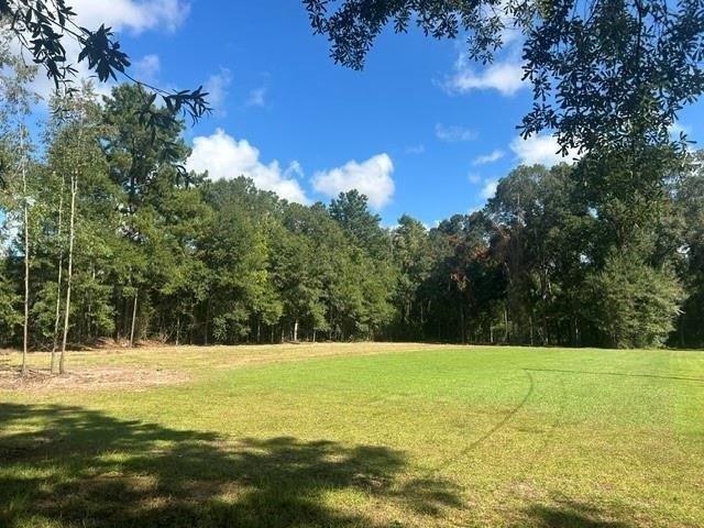 Stepp Rd Lot 0, Robert, LA 70455