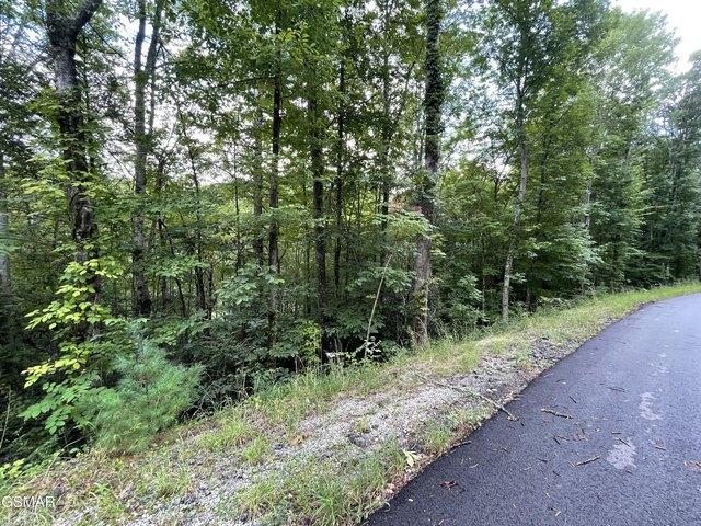Stepping Stone Dr Lot 5, Sevierville, TN 37862