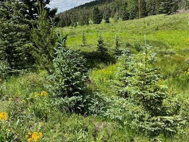 Sterenson Pl Lot 3091, Fort Garland, CO 81133