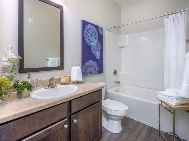 Sterling 1 Bedroom Apartment for Rent at 7880 Triangle Promenade Dr, Raleigh, NC 27616
