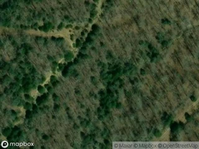 Sterling Forest Ln