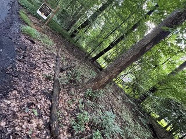 Sterling Montague Dr, Great Falls, VA 22066