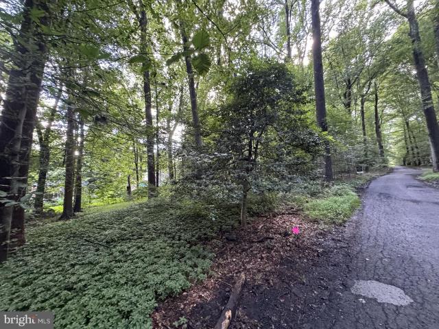 Sterling Montague Drive