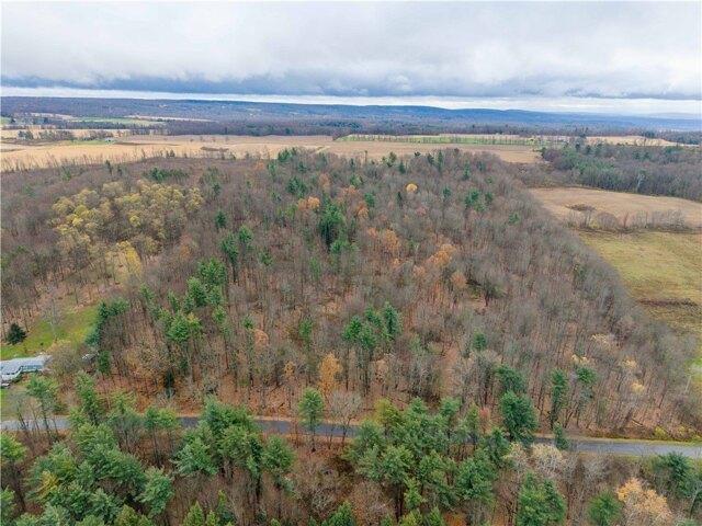 Stilson Rd, Nunda, Plot For Sale