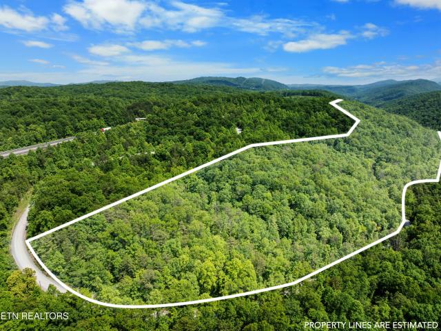 Stinking Creek 61 acres Rd, Pioneer, TN 37847