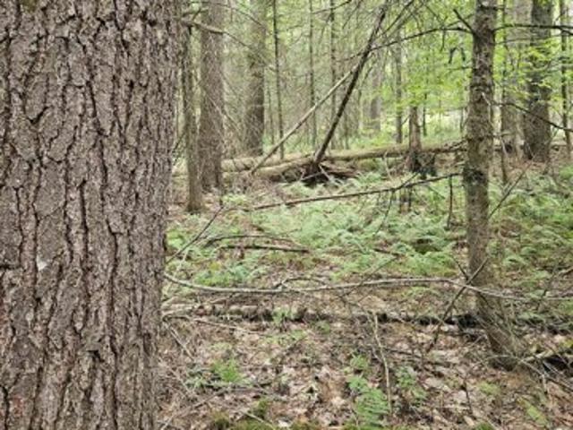 Straford Dr, Haverhill, Plot For Sale