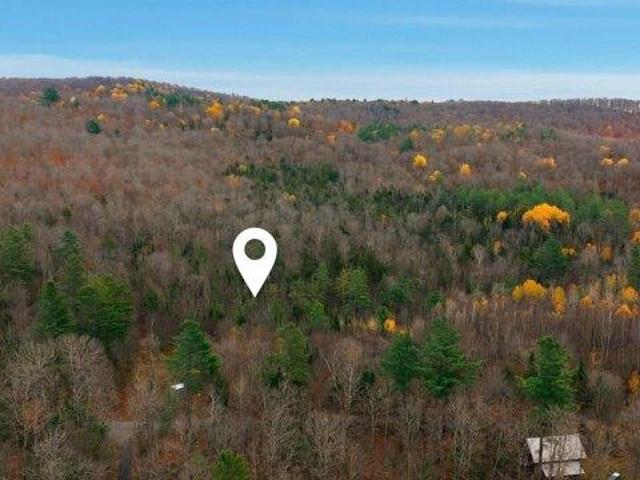 Strafford VT 05072 102529011