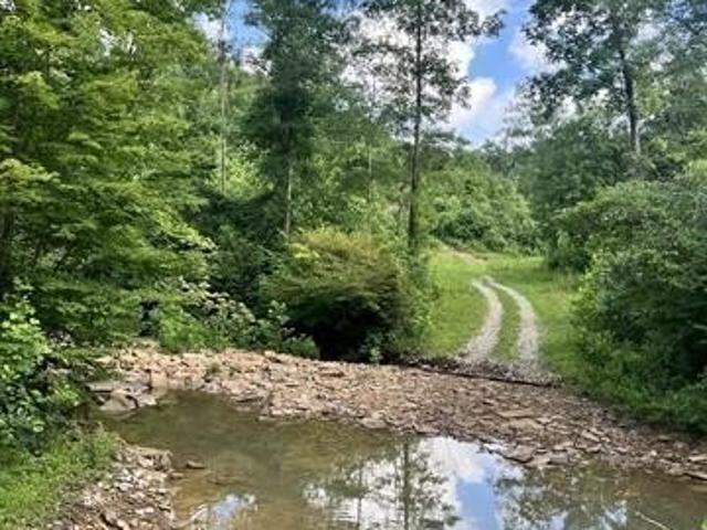 Straight Fork Rd, Vanceburg, KY 41179