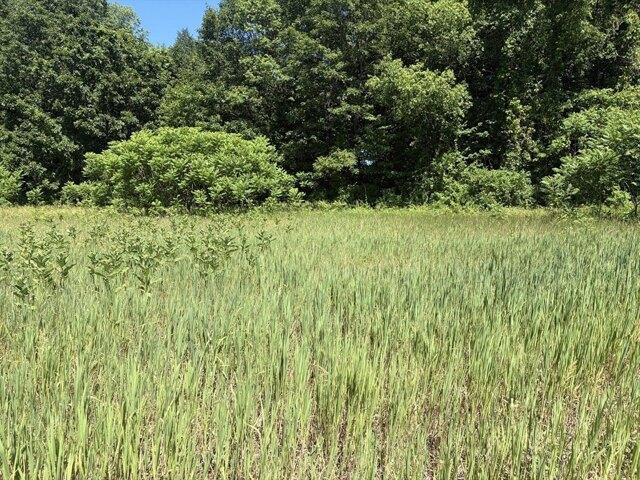 Straits Rd, Hatfield, Plot For Sale